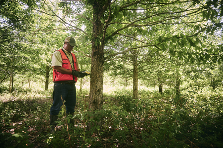 Stream mitigation performance standards