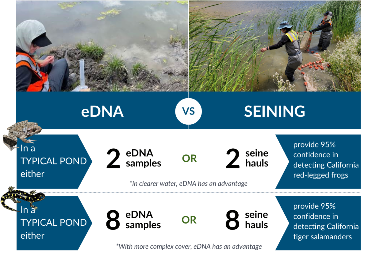 Detecting species presence: eDNA vs. conventional seining